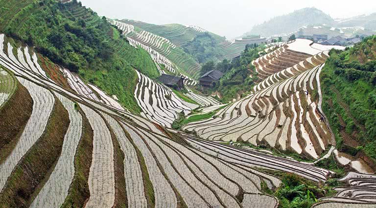 China Luxury Travel | Luxe and Intrepid Asia | Remote Lands