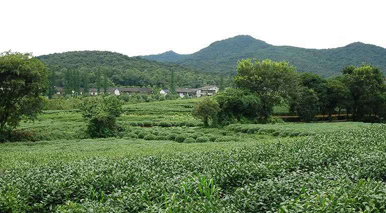 China's National Parks and Pandas | Luxury China Itinerary | Remote Lands