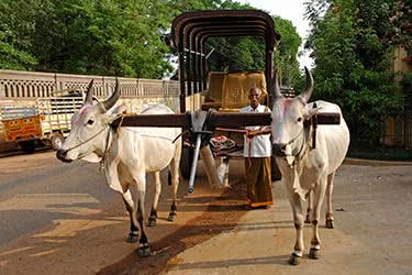 Karaikudi | India | Luxe and Intrepid Asia | Remote Lands