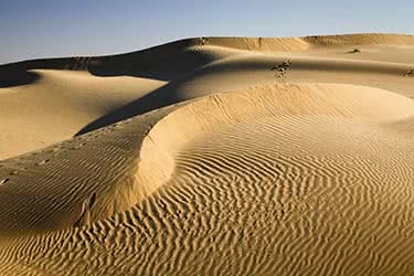 Jaisalmer | India | Luxe and Intrepid Asia | Remote Lands