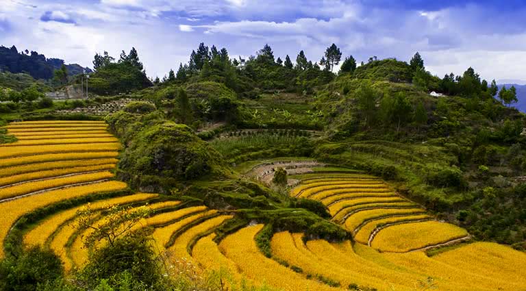 Wildlife and Volcanic Landscapes | Luxury Indonesia Itinerary | Remote ...