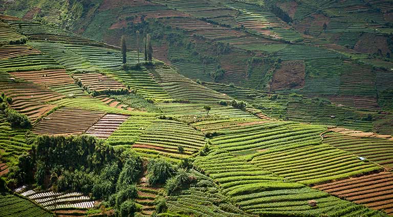 Journey Into Heart of Java | Luxury Indonesia Itinerary | Remote Lands