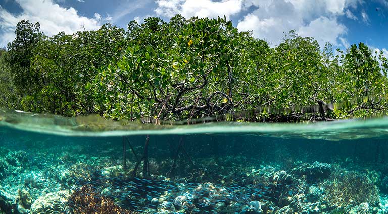 Cruising Indonesia with Aman | Luxury Indonesia Itinerary | Remote Lands