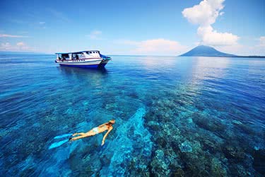 Underwater World Exploration in Sulawesi | Luxury Indonesia Itinerary ...