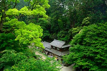 Japanese Art & Culture Tour | Luxury Japan Itinerary | Remote Lands