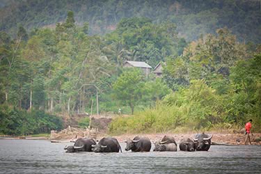 Magnificent Muang La | Luxury Laos Itinerary | Remote Lands