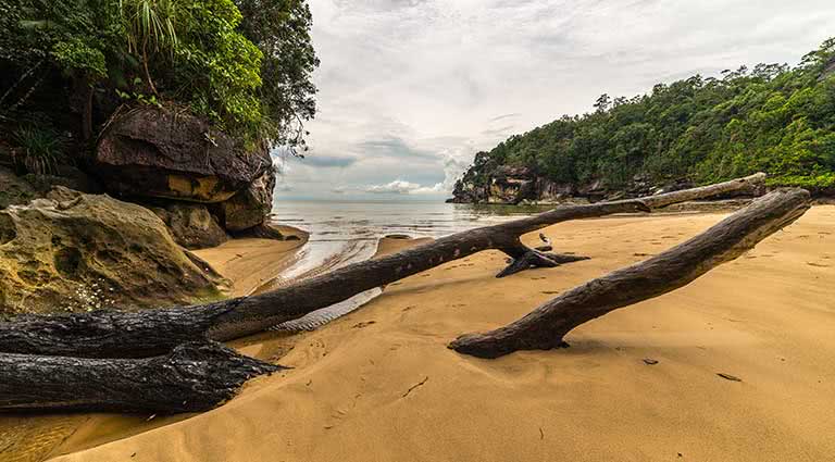 Bako | Malaysia | Luxe and Intrepid Asia | Remote Lands