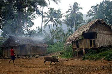 Exotic Wildlife of Papua New Guinea | Luxury Papua New Guinea Itinerary ...