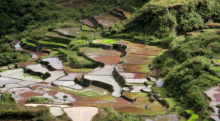 Trekking Terraces & Beyond | Luxury Philippines Itinerary | Remote Lands