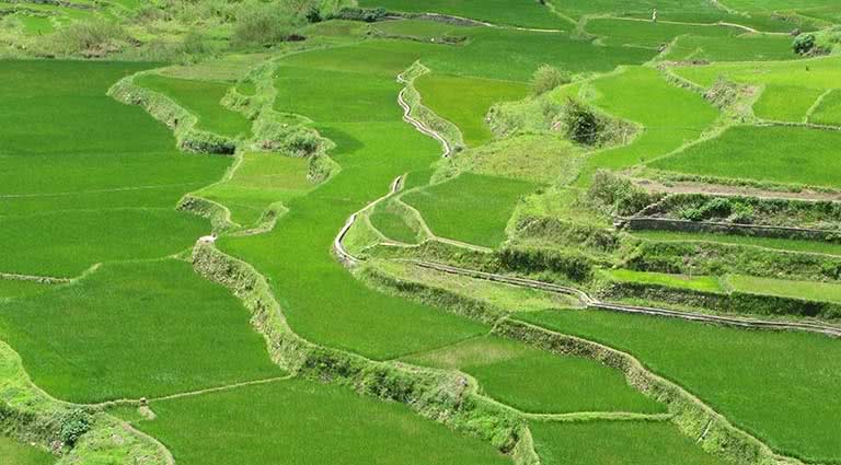 Trekking Terraces & Beyond | Luxury Philippines Itinerary | Remote Lands