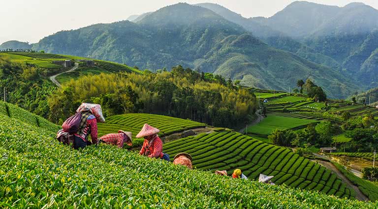 Taiwan Luxury Travel | Luxe and Intrepid Asia | Remote Lands