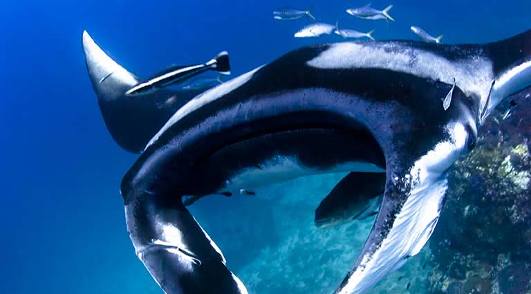 Beautiful, Bountiful Beaches | Luxury Thailand Itinerary | Remote Lands