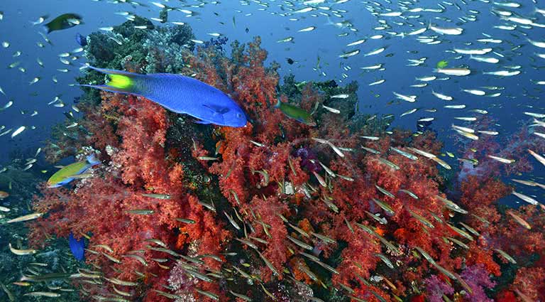 Beautiful, Bountiful Beaches | Luxury Thailand Itinerary | Remote Lands