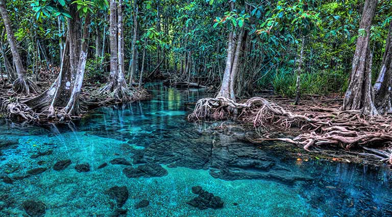 Beautiful, Bountiful Beaches | Luxury Thailand Itinerary | Remote Lands