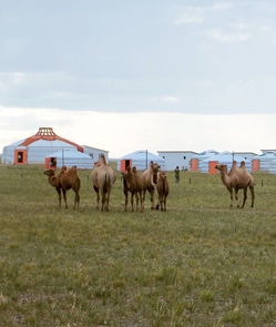 Gobi Desert | Mongolia | Luxe and Intrepid Asia | Remote Lands