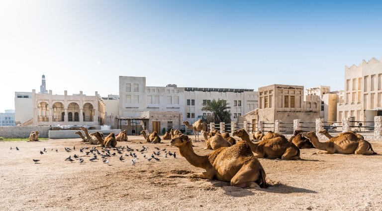 Classic Qatar | Luxury Qatar Itinerary | Remote Lands