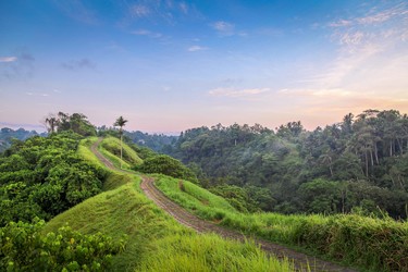 Rice Paddies and Culture in Bali | Luxury Bali Itinerary | Remote Lands