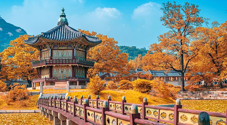 South Korea | September | Luxe and Intrepid Asia | Remote Lands
