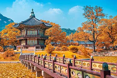 South Korea | September | Luxe and Intrepid Asia | Remote Lands