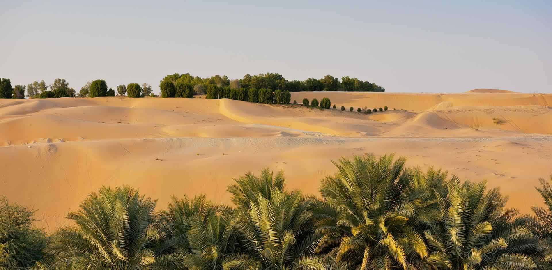 Liwa Oasis UAE Luxury Travel Remote Lands