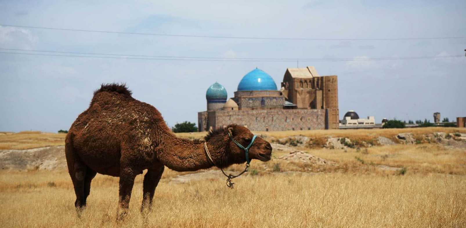 Turkestan | Kazakhstan Luxury Travel | Remote Lands