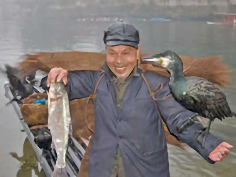 Sharaan Resort | Saudi Arabia Luxury Hotels Resorts | Remote Lands