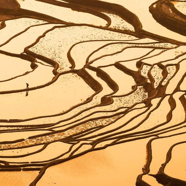 Bukhara Biennial: A New Chapter for Uzbekistan’s Art Scene | Newsletters | Remote Lands