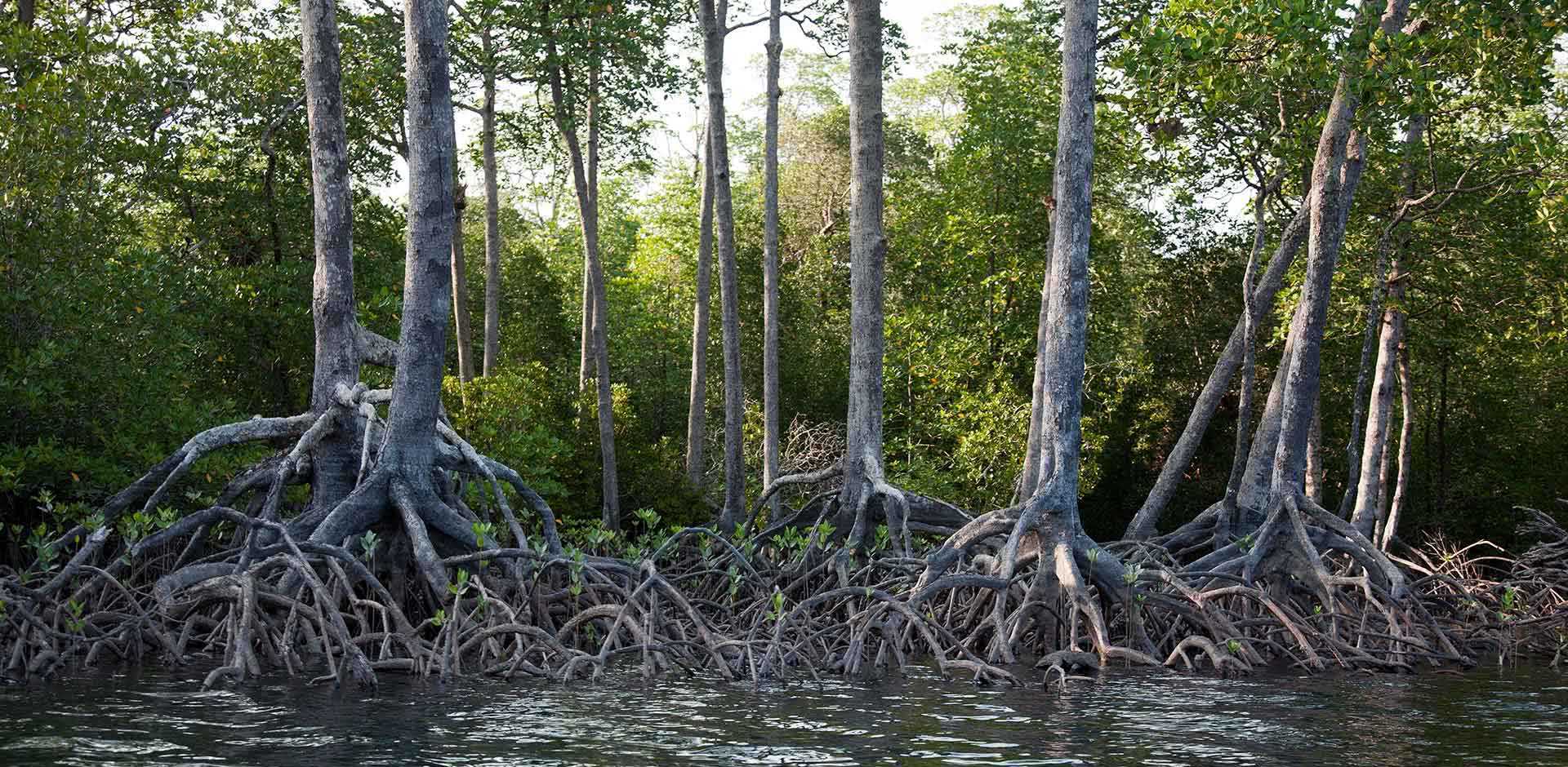 Mergui | Myanmar | Luxe and Intrepid Asia | Remote Lands