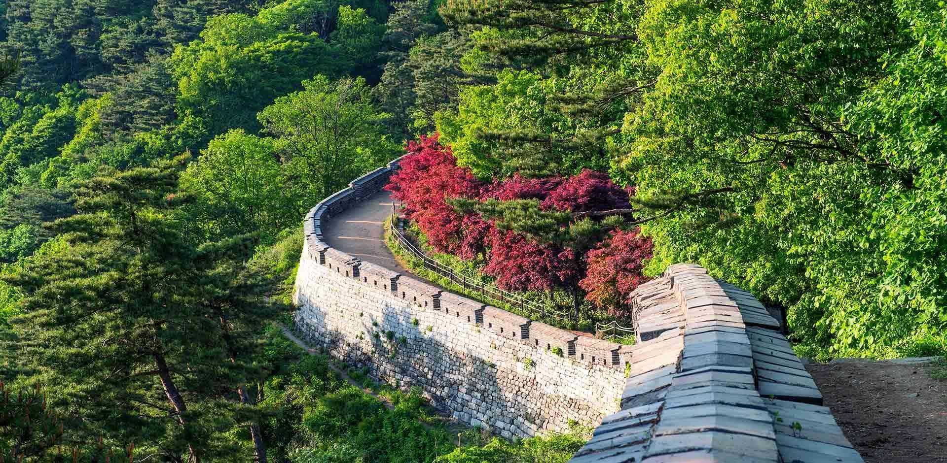 Gwangju | South Korea | Luxe and Intrepid Asia | Remote Lands