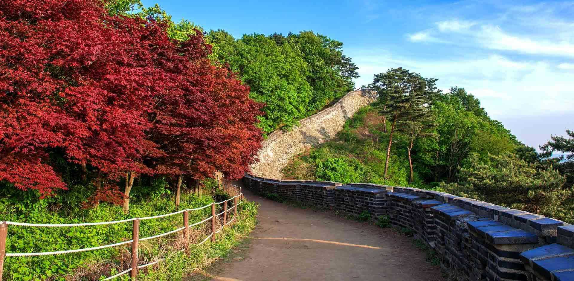 Gwangju | South Korea | Luxe and Intrepid Asia | Remote Lands