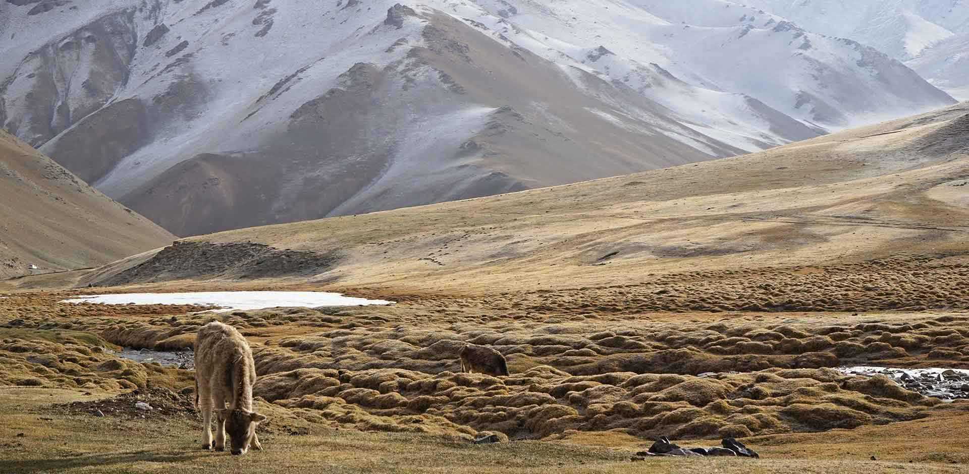 Naryn | Kyrgyzstan Luxury Travel | Remote Lands