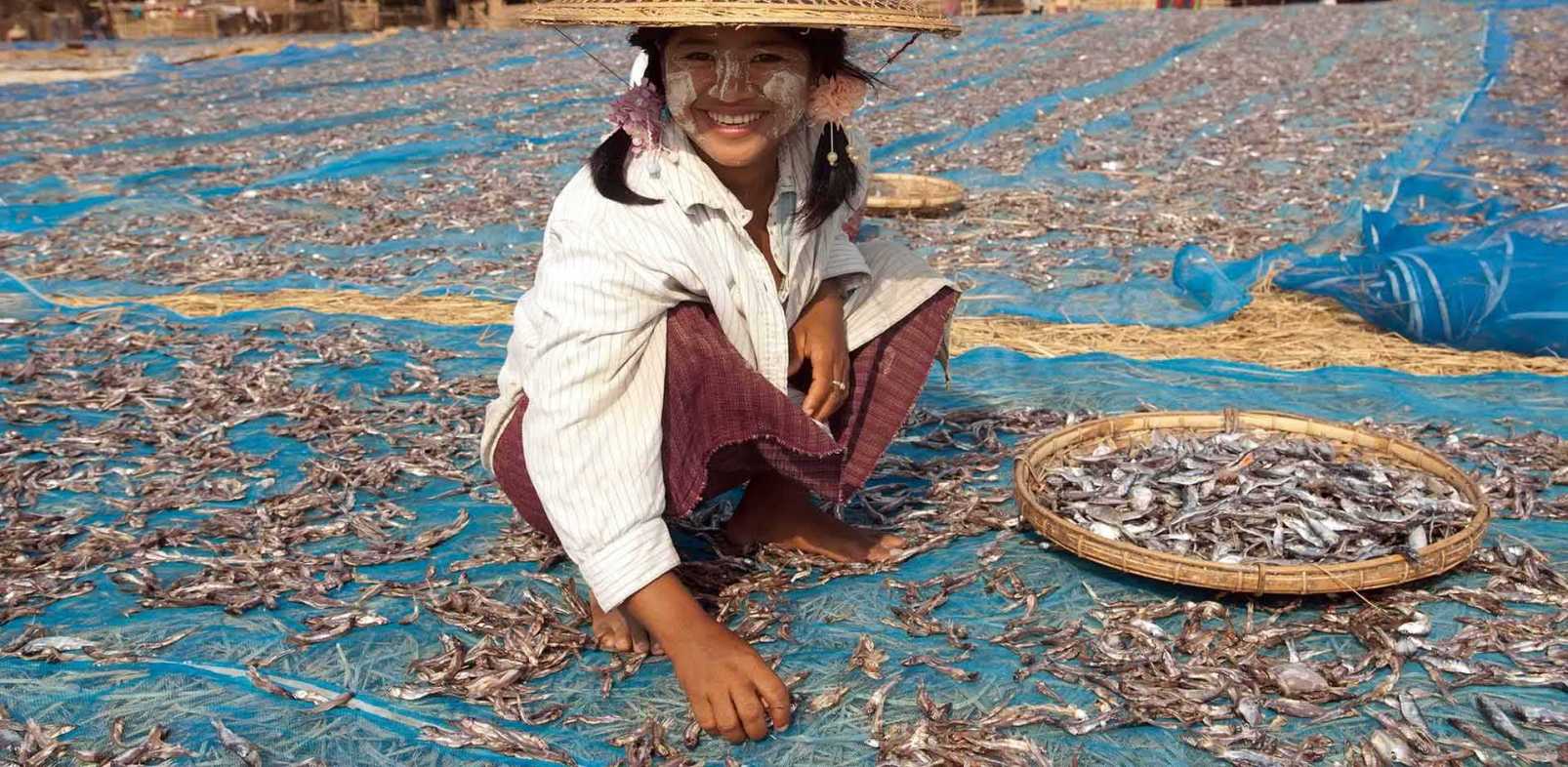 Ngapali | Myanmar | Luxe and Intrepid Asia | Remote Lands