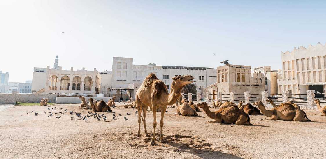 Doha | Qatar Luxury Travel | Remote Lands