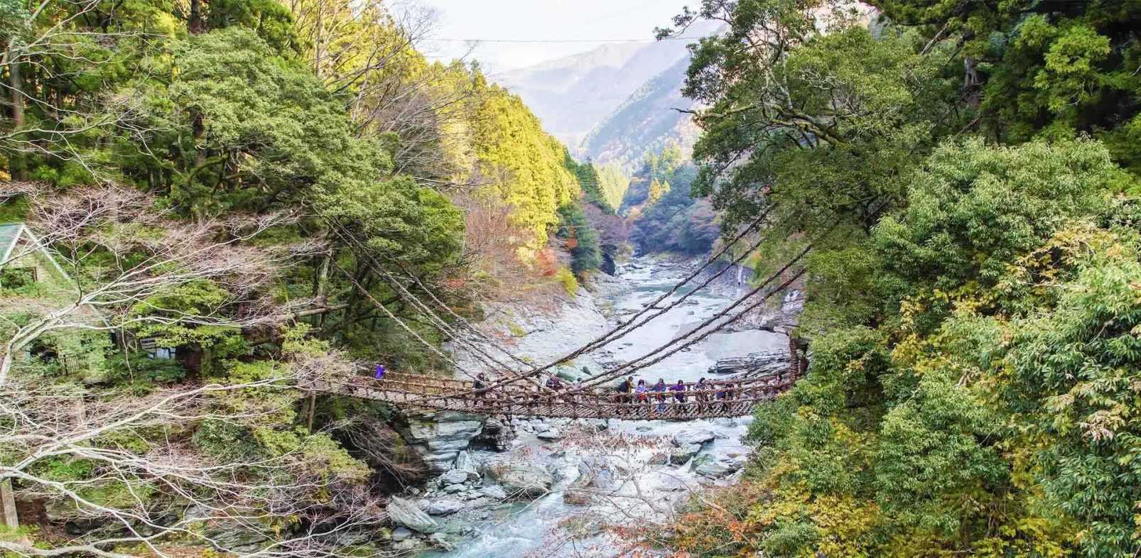 Iya Valley | Japan | Luxe and Intrepid Asia | Remote Lands