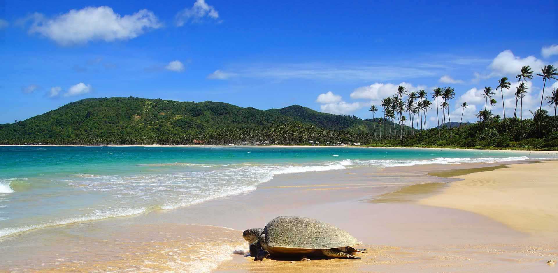 Palawan | Philippines | Luxe and Intrepid Asia | Remote Lands