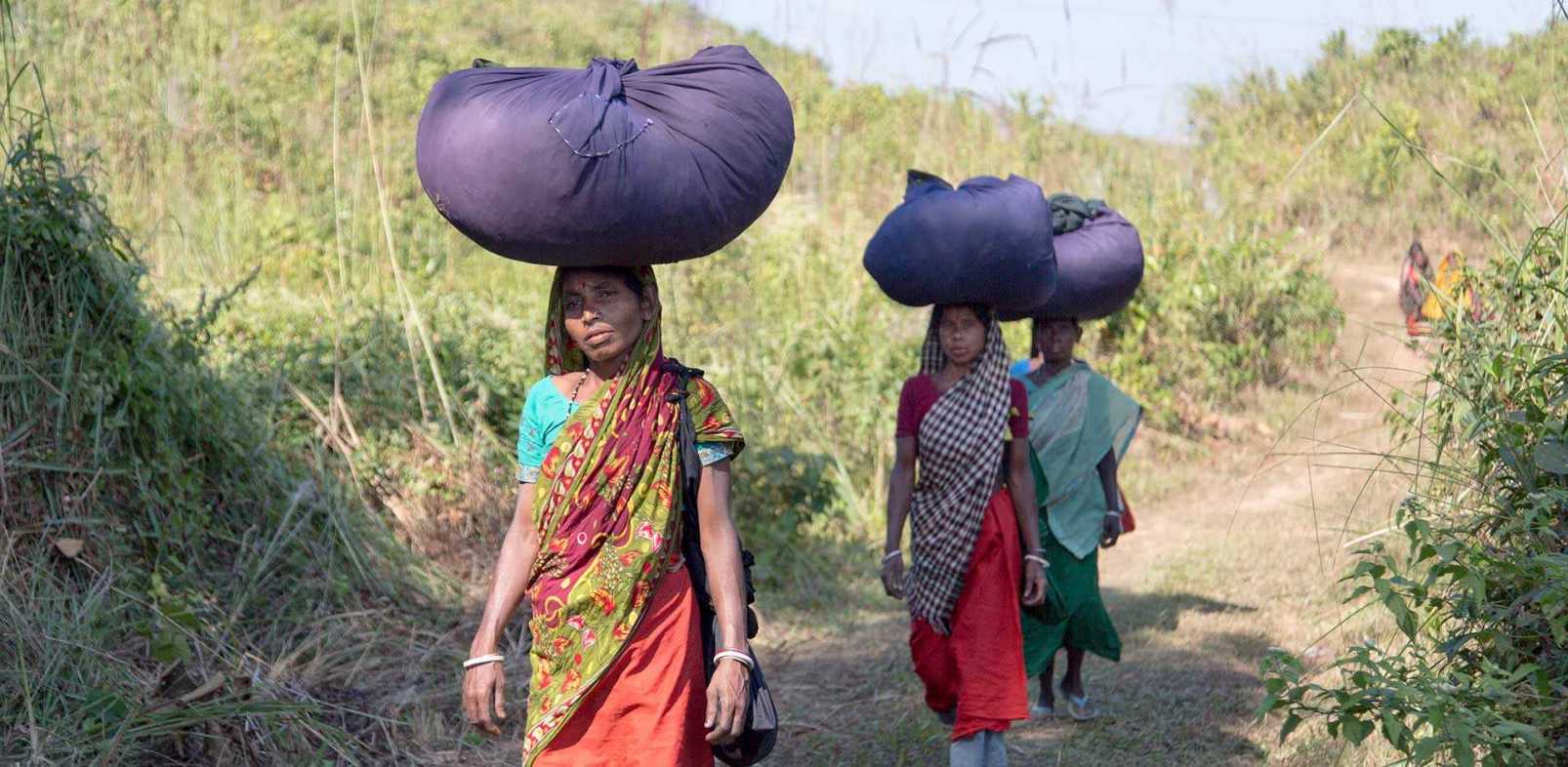 Sylhet | Bangladesh | Luxe and Intrepid Asia | Remote Lands