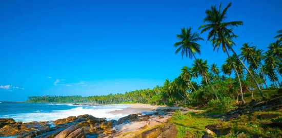 Tangalle | Sri Lanka | Luxe and Intrepid Asia | Remote Lands