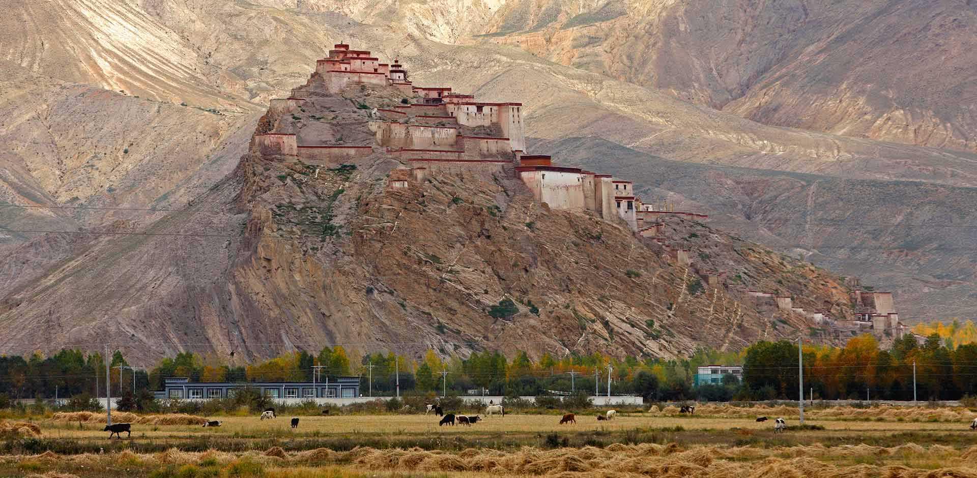 Gyantse | Tibet | Luxe and Intrepid Asia | Remote Lands