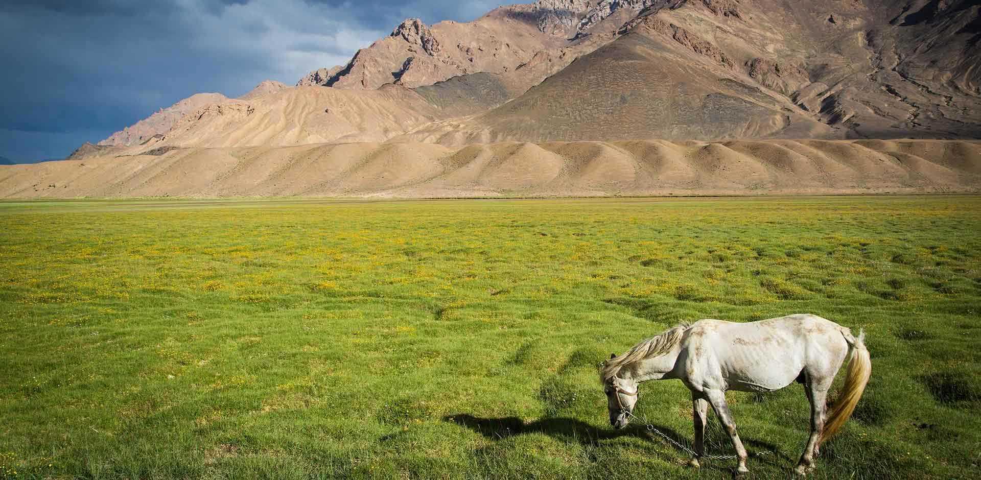 Murghab | Tajikistan Luxury Travel | Remote Lands