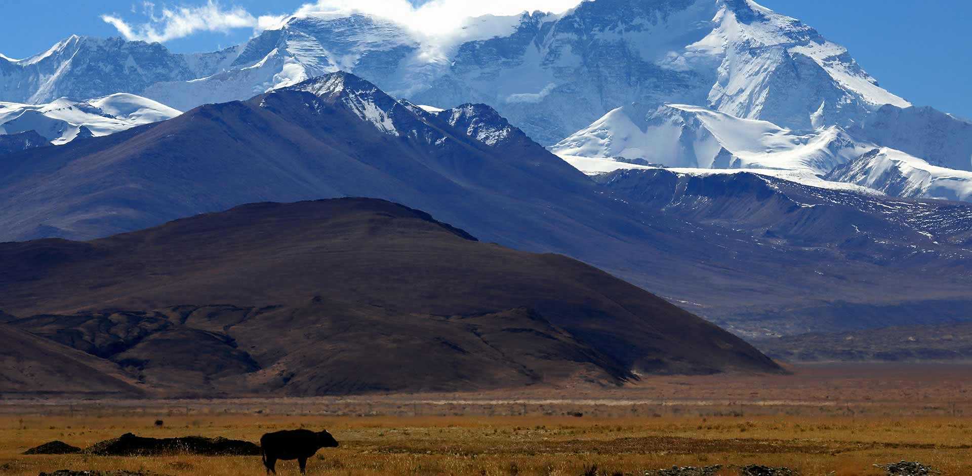 Tingri | Tibet | Luxe and Intrepid Asia | Remote Lands
