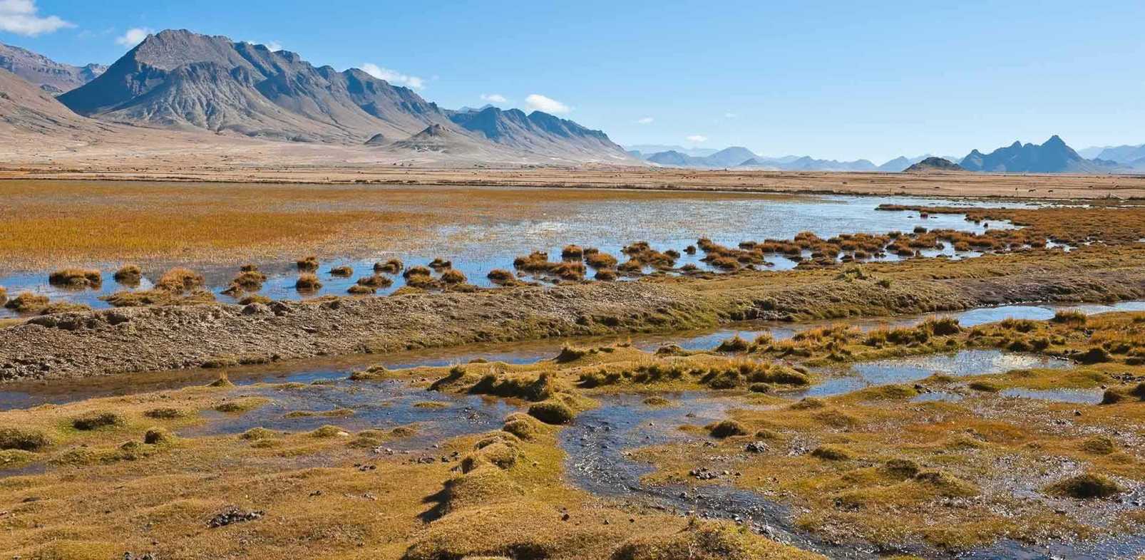 Tingri | Tibet | Luxe and Intrepid Asia | Remote Lands