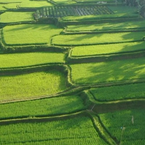 Heritage and Islands | Luxury Philippines Itinerary | Remote Lands