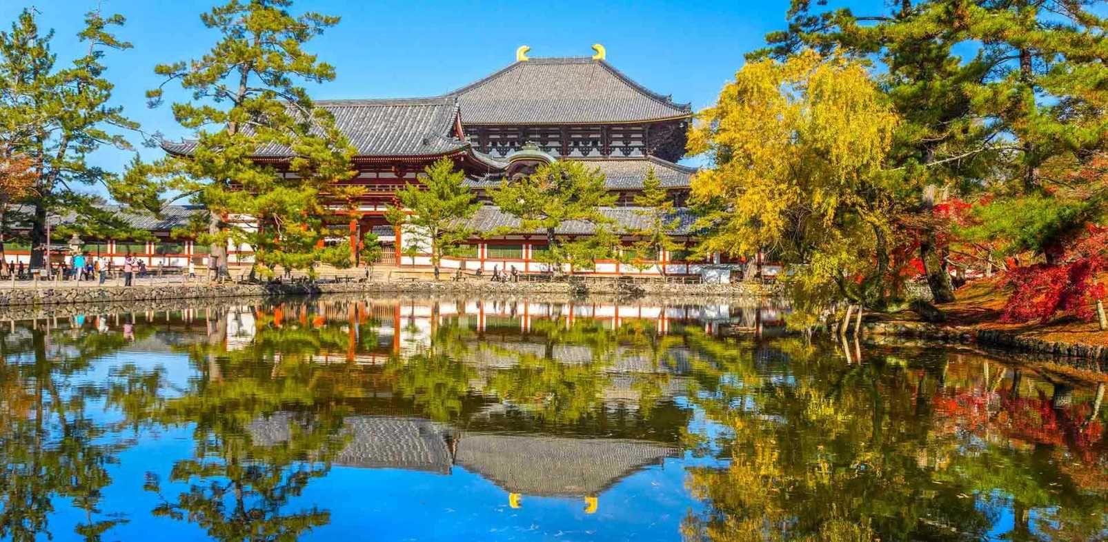 Nara | Japan | Luxe and Intrepid Asia | Remote Lands