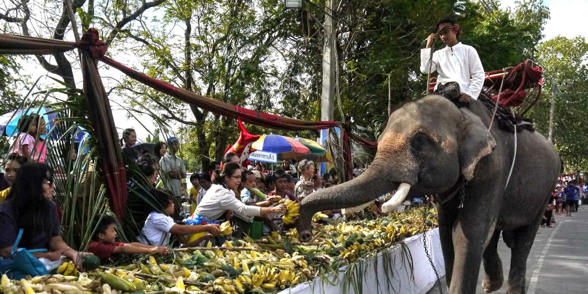 Surin Elephant Round-up - Travelogues from Remote Lands