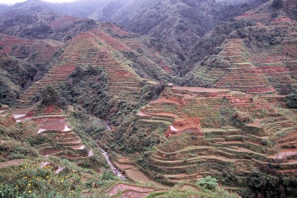 Gods of Rice: Banaue Terraces Are Out of This World - Travelogues from ...