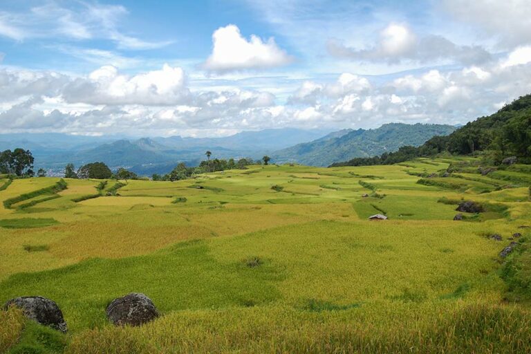 Torajaland: Bringing the World of the Dead to Life - Travelogues from ...