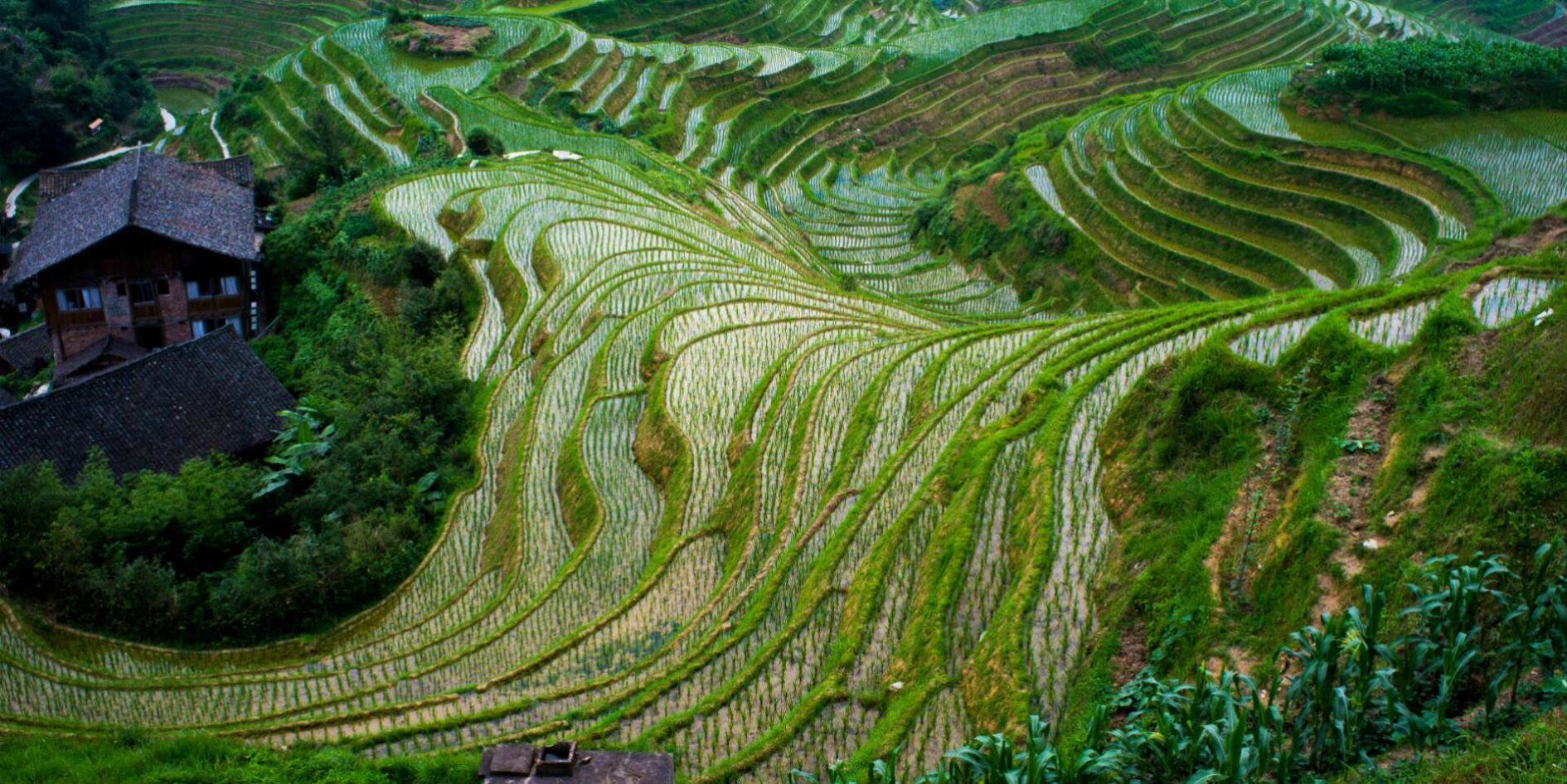 A Room with a View: China's Longsheng Rice Terraces - Travelogues from ...