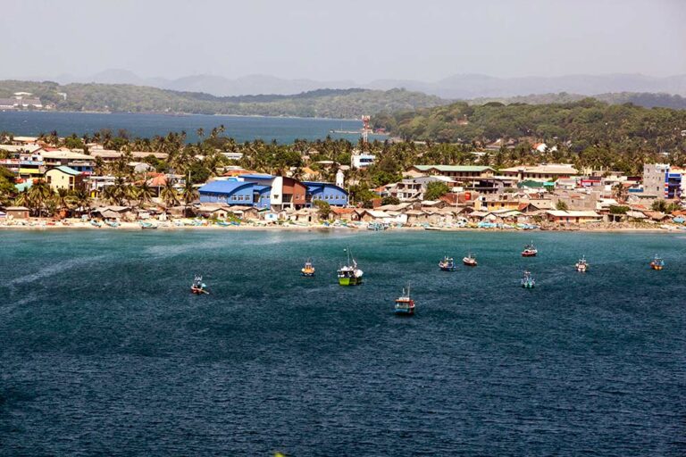 A Whale of a Time in Trincomalee - Travelogues from Remote Lands