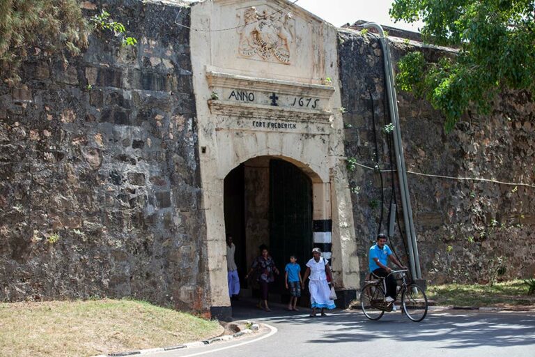 A Whale of a Time in Trincomalee - Travelogues from Remote Lands