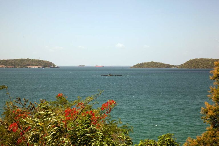A Whale of a Time in Trincomalee - Travelogues from Remote Lands